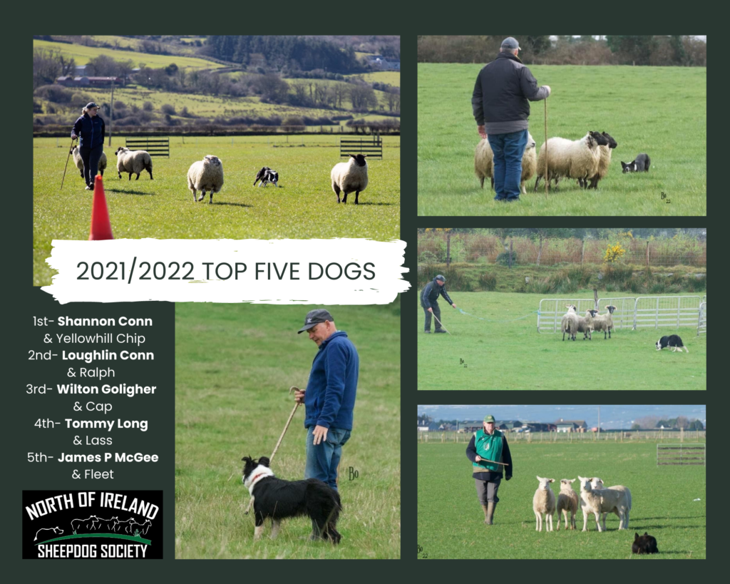 Leaderboard 2021/2022 Open Points Season - North Of Ireland Sheepdog ...