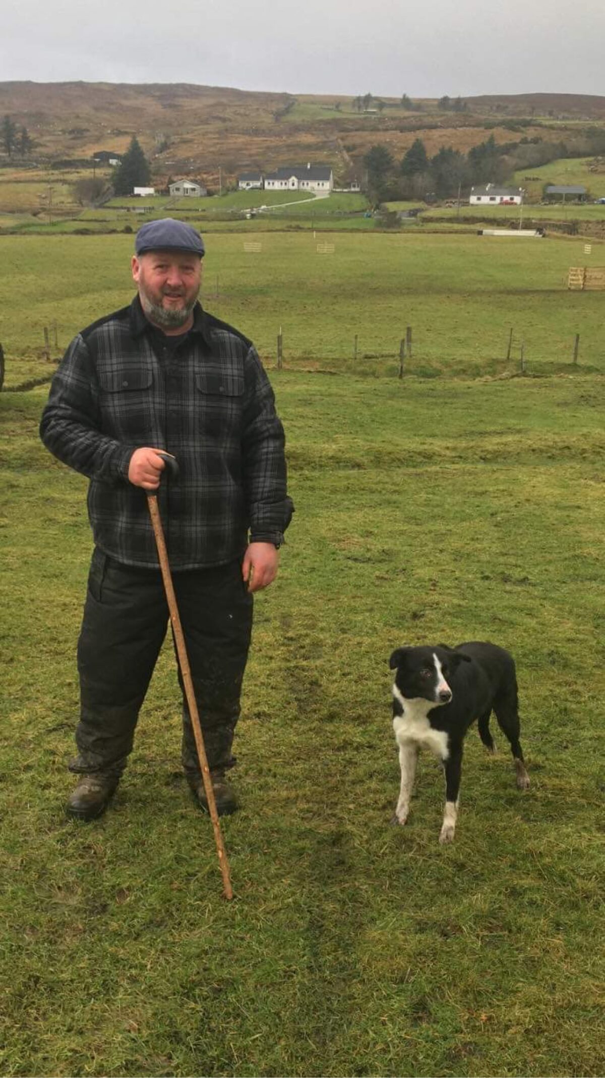 Donegal Nursery- B Hegarty’s - North Of Ireland Sheepdog Society