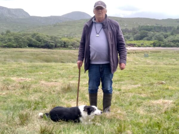 Sheepdog trials @ Tommy & Michael Cannons - North Of Ireland Sheepdog ...