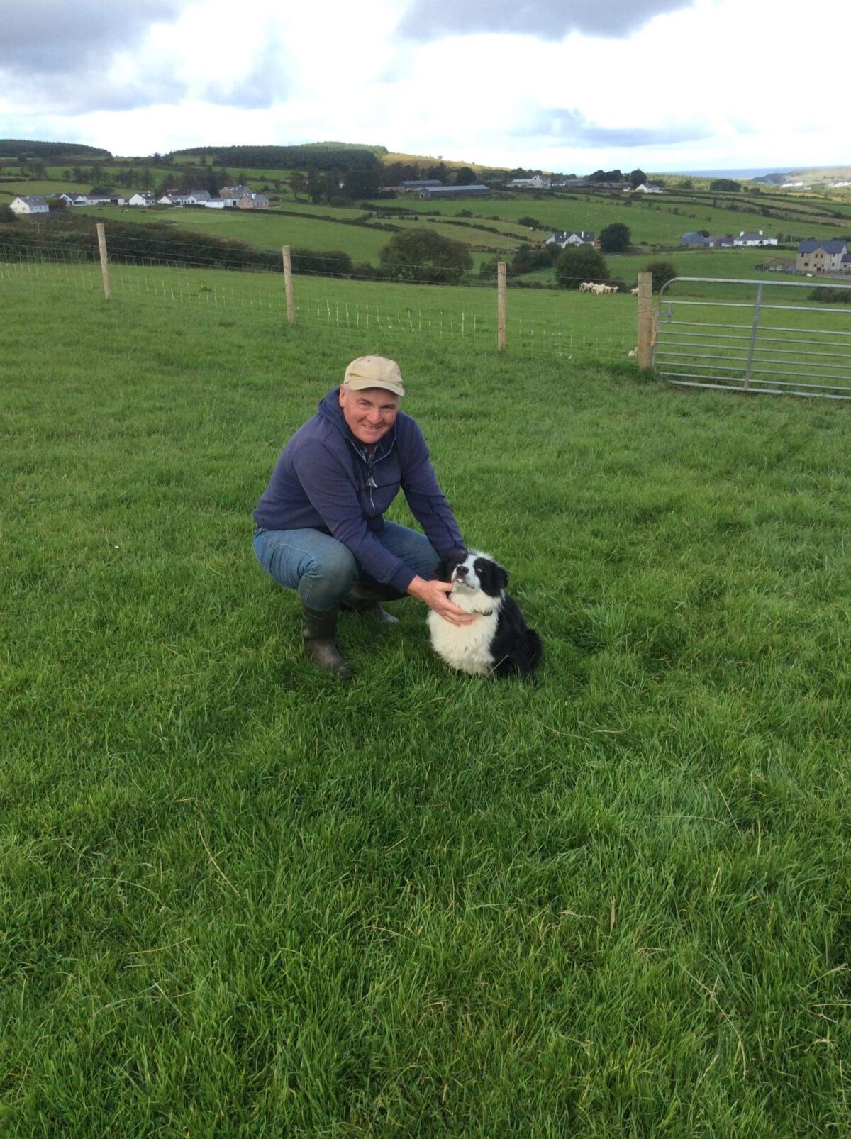 Sheepdog trials @ Clonmany Agricultural Show - North Of Ireland ...